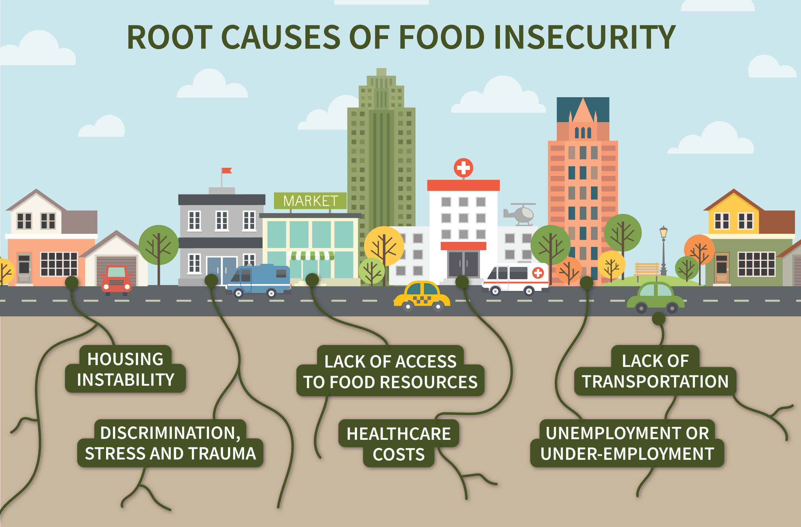 Getting to the Root of Food Insecurity with Food+ - Harvesters