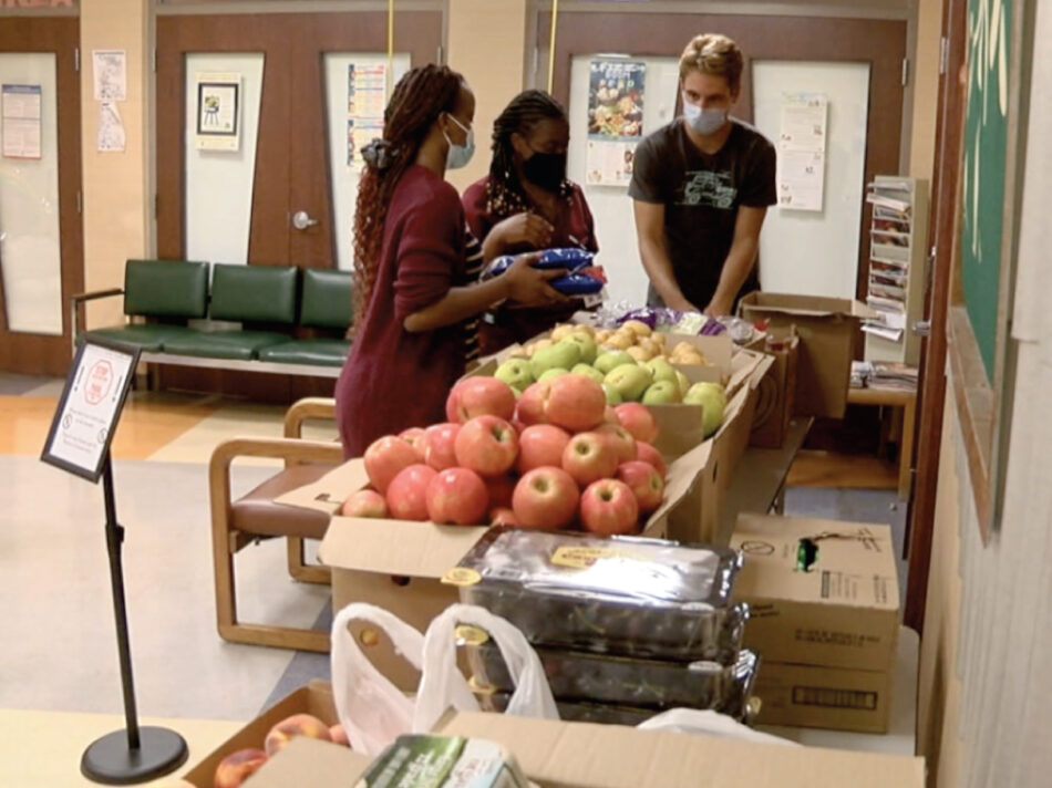 Food+ Health - Harvesters